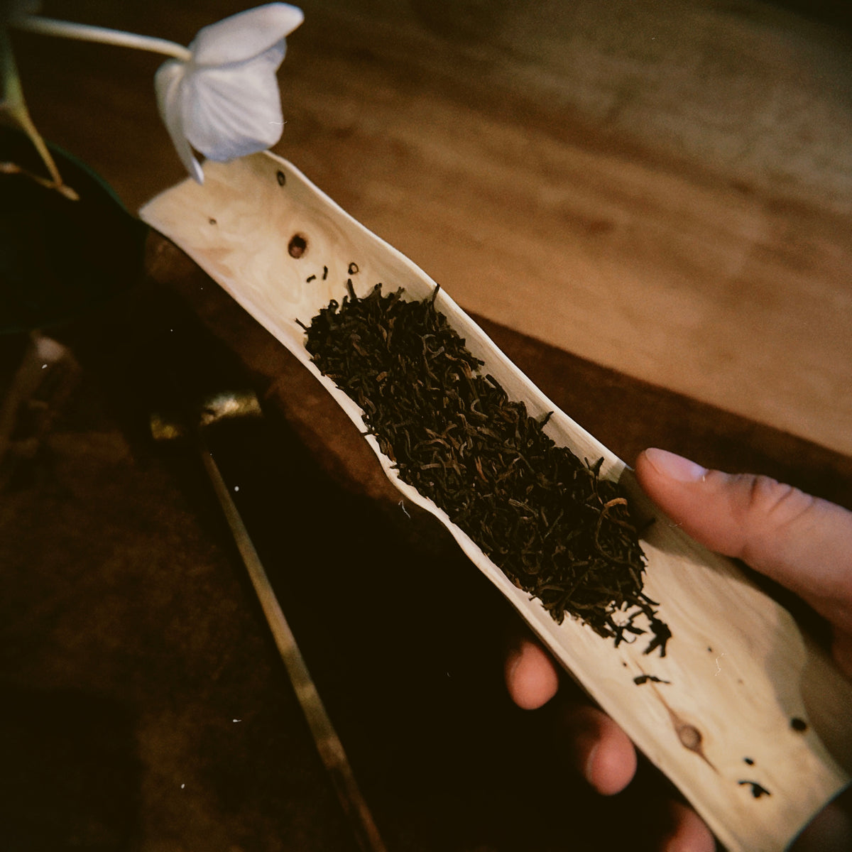 Cypress Wood Tea Scoop – DAQIAN - Peter Kuo
